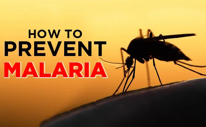 Prevention of Malaria: మలేరియా రాకుండా నివారణ చర్యలు! - Eruvaaka