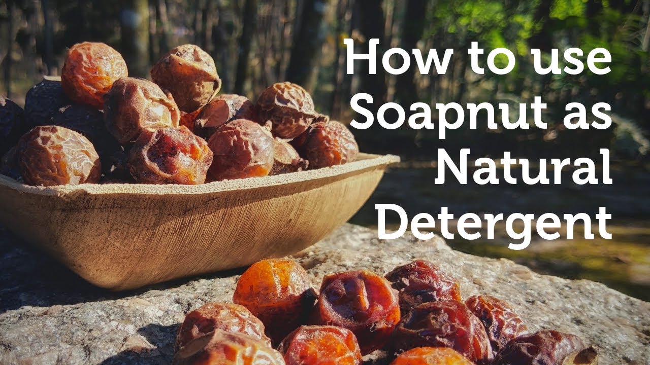 Benefits of Soap Nuts (Kunkudu kayalu)