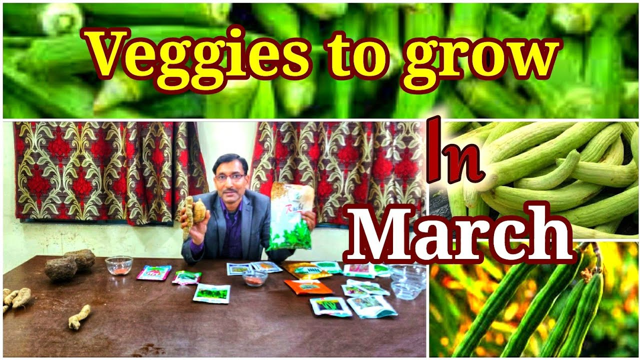 March Month Horticultural Crops: మార్చి మాసంలో ఉద్యాన పంటల్లో ...