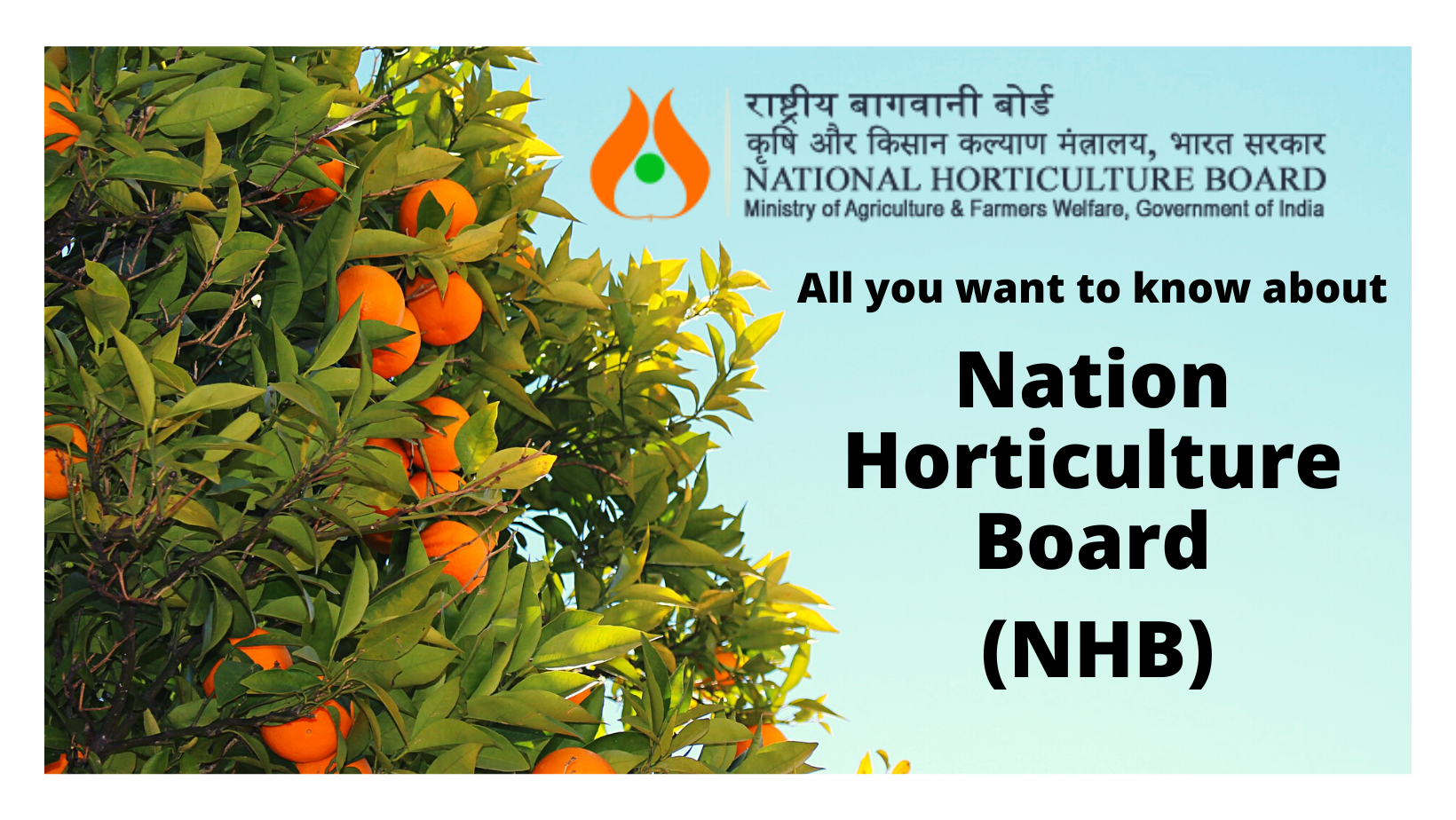 NHB Training Program: జాతీయ ఉద్యాన పంటల సంస్థ పథకాల పై